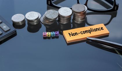 The Risks of Not Complying With Local Director Regulations